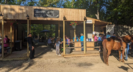 Hooves & Halos | Recreational and Equine Programs for Children and Adults